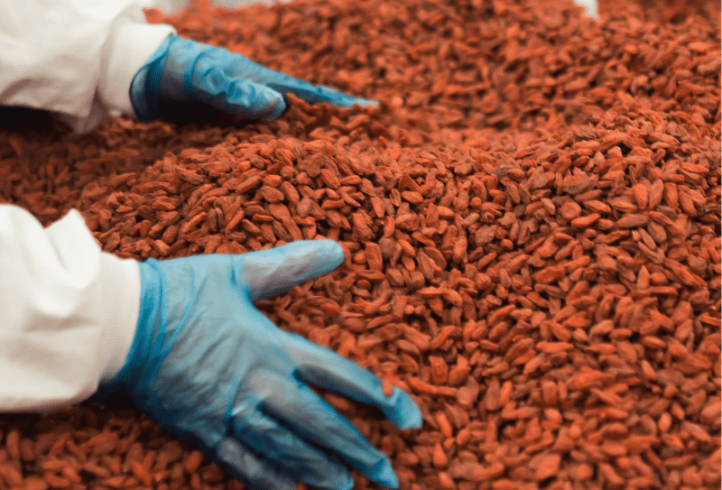 Ingredient Considerations for Plant-Based Product Producers - vegconomist - the vegan business ...