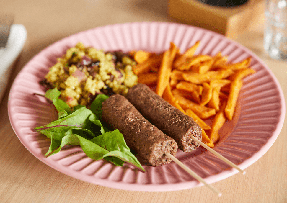 Symega Food Invests $10.3M to "Make India the Hub of Plant-Based ...