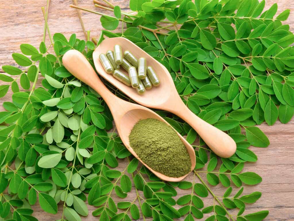 US Moringa Ingredients Market to Exceed $USD 10 Billion by 2025 ...