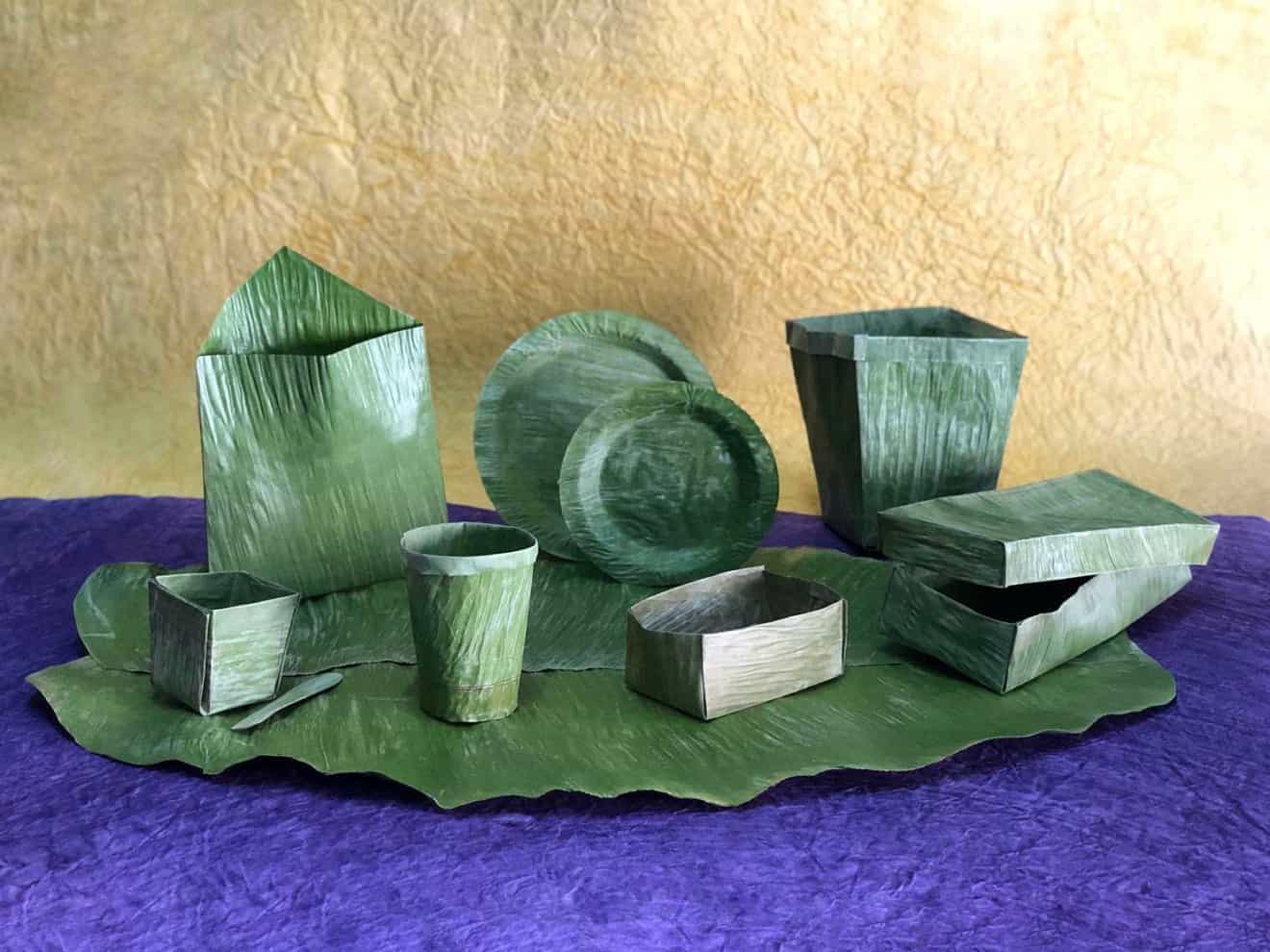 Banana Leaf Preservation Technology Can Replace Single Use Plastics banana-leaf-preservation-technology-can-replace-single-use-plastics