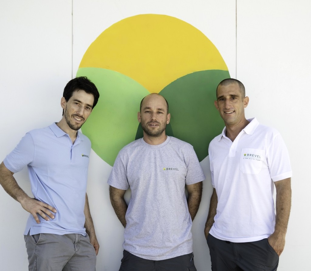 Brevel Raises $18.5M to Fuel the Plant-Based Sector with Sustainable ...