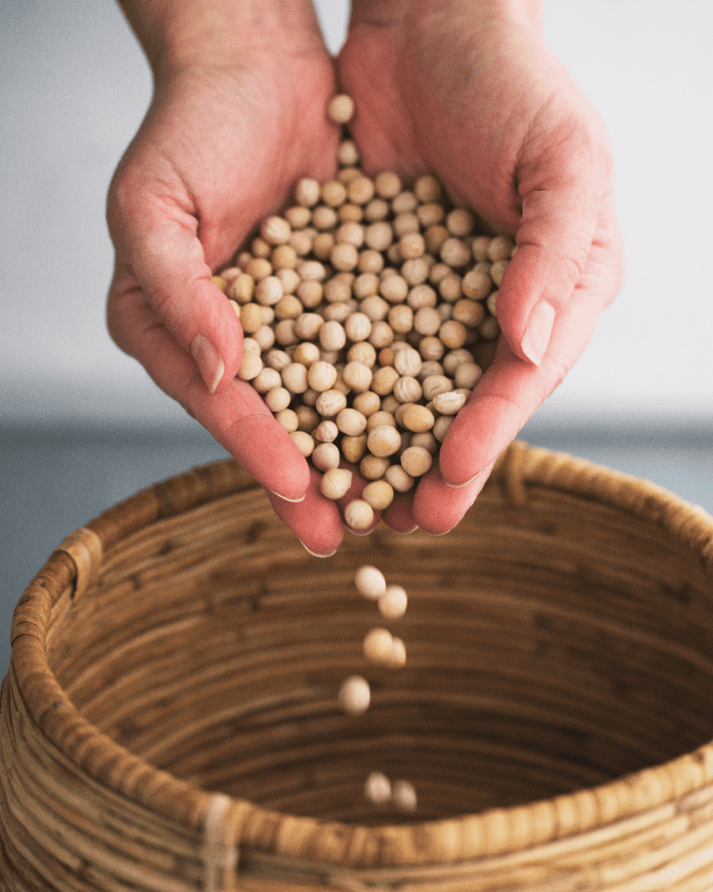 Merit Functional Foods Develops Methylcellulose-Free Ingredient ...