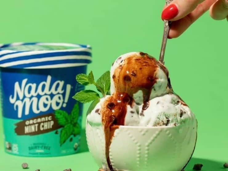 $10M For NadaMoo!, the Texan Pioneer of Dairy-Free Ice Cream ...