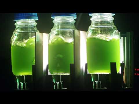 Australian Provectus Algae Appoints Ryan Bethencourt, Raises $3.25M for ...