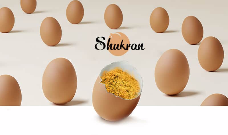 Shukran Foods Launches Vegan Eggs to "Revolutionize the Market" in ...