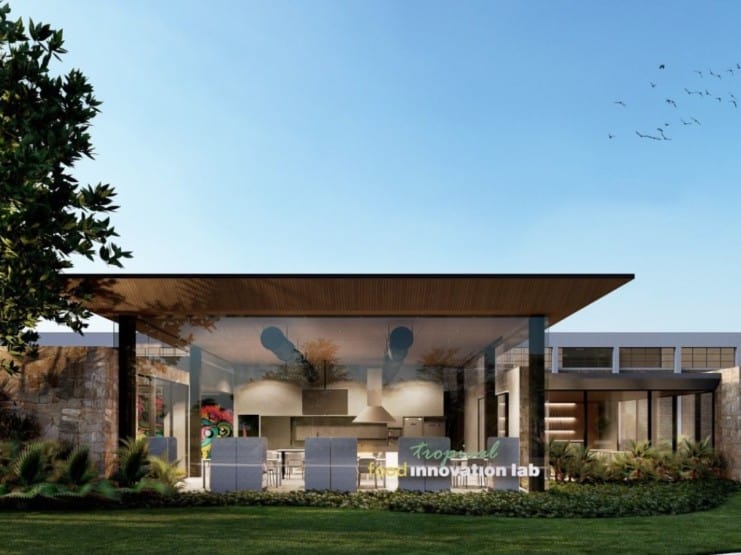 Vegini: "Our Next Innovation Will Be Vegini To-Go! Products ...