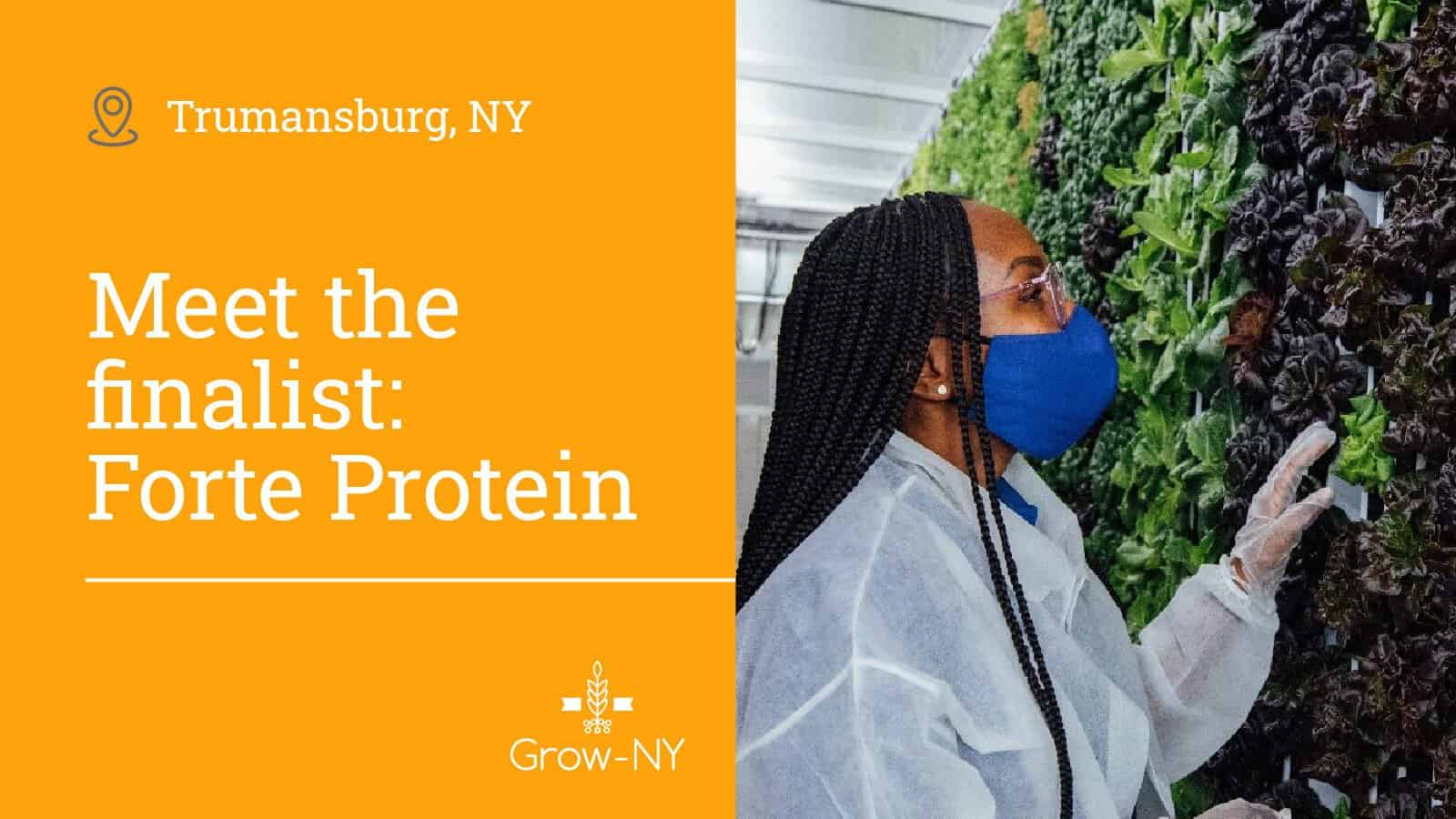 Grow-NY 2023: Food and AgTech Startups Invited to Compete for $1 ...