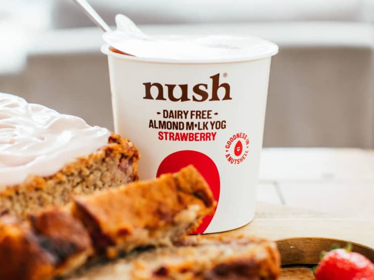 UK Artisan Alt Dairy Producer Nush Foods in 27% Sales Boost Amid New ...