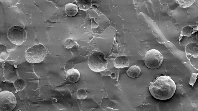 Milk Under the Magnifying Glass: Electron Microscope Shows Molecular ...