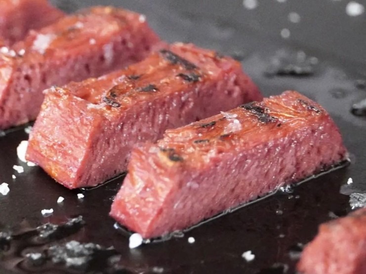 Novameat obtiene 6 millones de dólares en una pre-serie A para acelerar ...